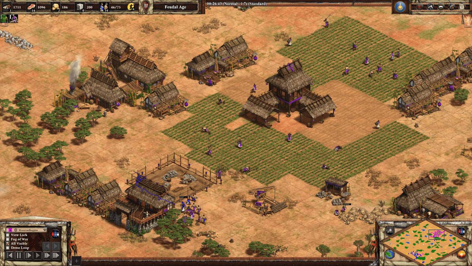 Why I typically disagree with the forward castle - AOE2 Guide