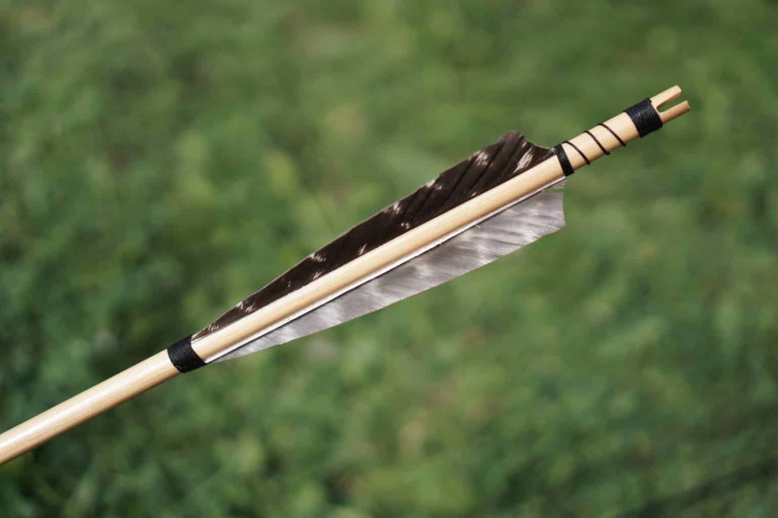 Archer Build Order - AOE2 Guide